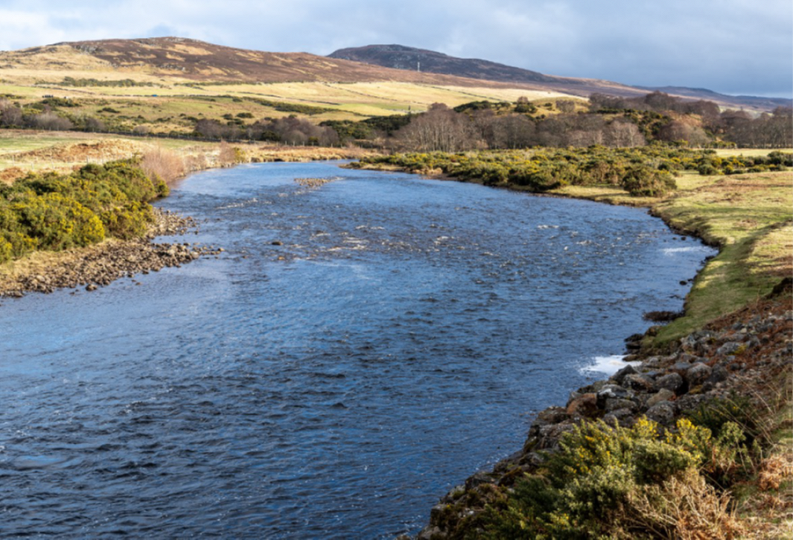 Salmon Fishing News from the river Naver at Syre Estate in Scotland