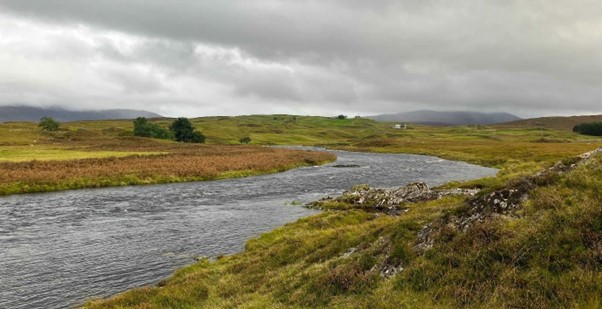 Fishery Reports, Salmon Fishing News from the Naver in Scotland, Syre ...